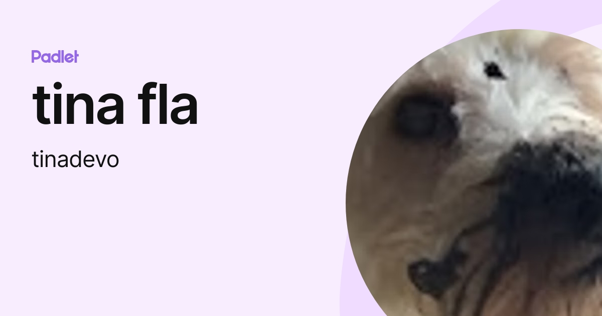 tina fla (tinadevo) profile | Padlet