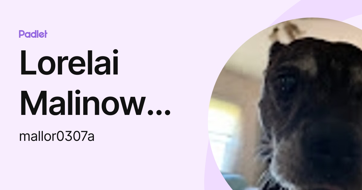 Lorelai Malinowski (mallor0307a) profile | Padlet