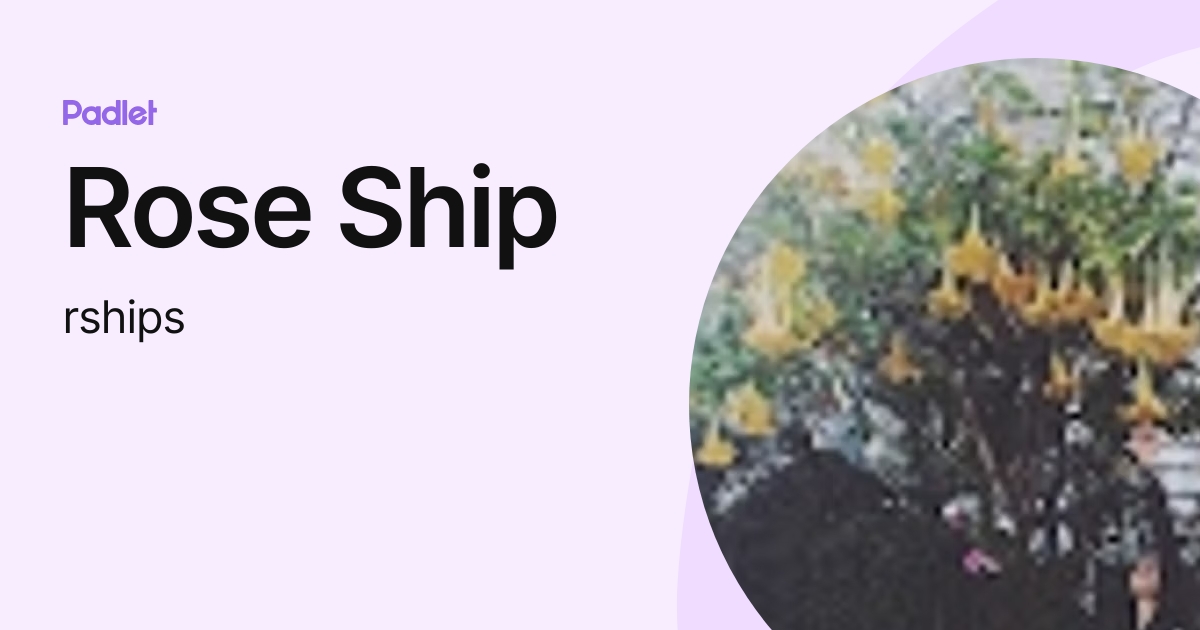 Rose Ship (rships) profile | Padlet