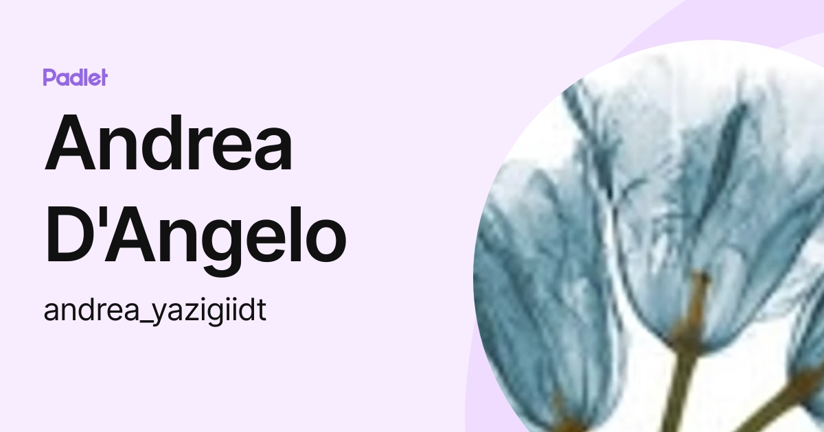 Andrea D'Angelo (andrea_yazigiidt) profile | Padlet