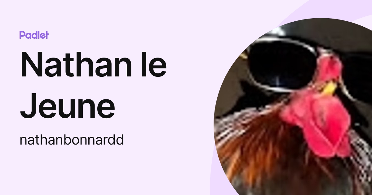 Nathan le Jeune (nathanbonnardd) profile | Padlet