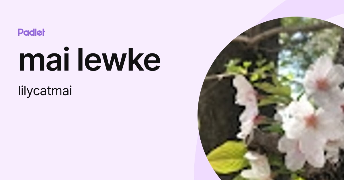 mai lewke (lilycatmai) profile | Padlet