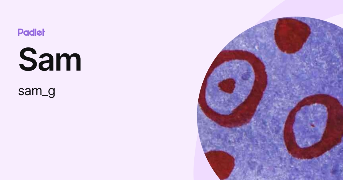 Sam (sam_g) profile | Padlet