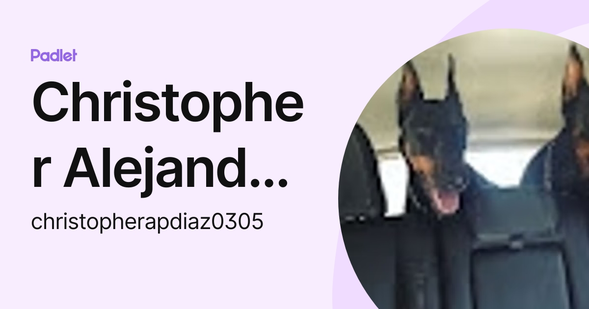 Christopher Alejandro Perfecto Díaz (christopherapdiaz0305) profile ...