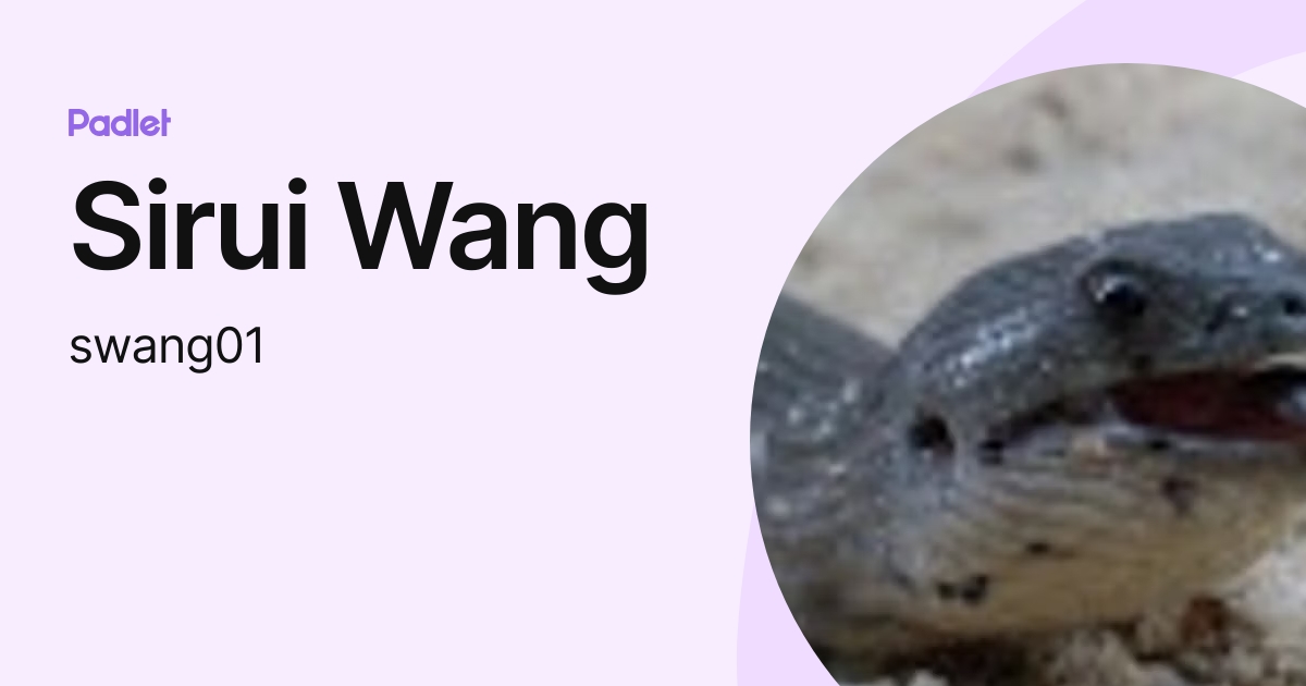 Sirui Wang (swang01) profile | Padlet