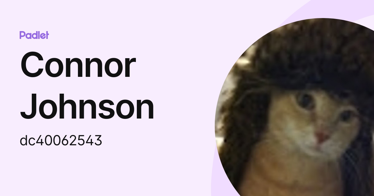Connor Johnson (dc40062543) profile | Padlet