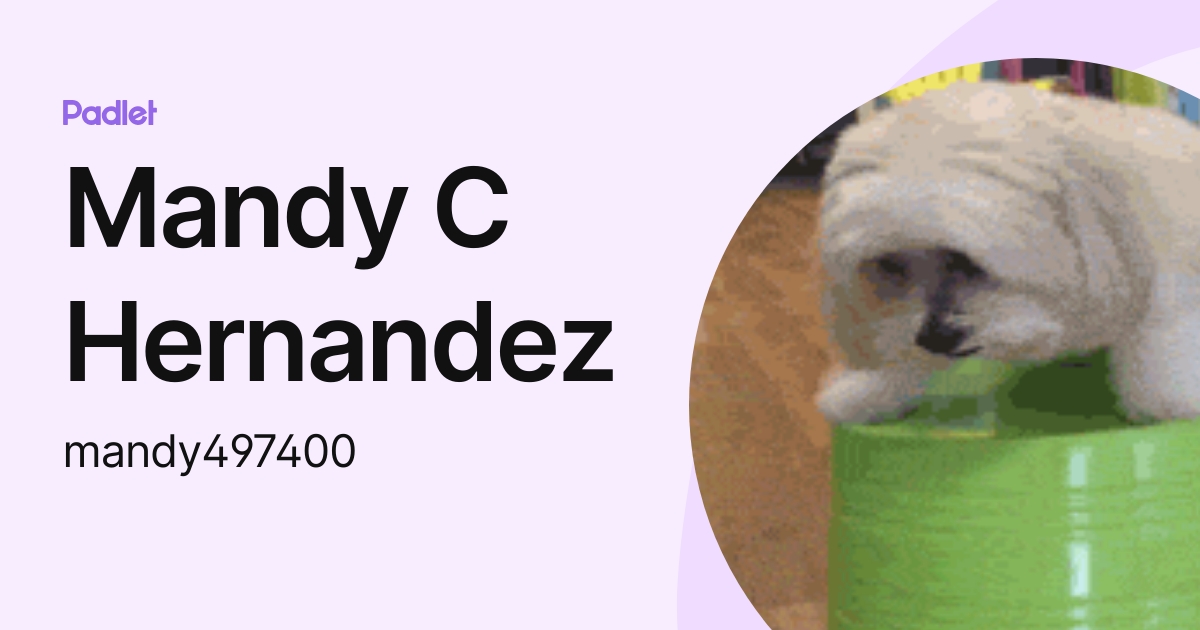 Mandy C Hernandez (mandy497400) profile | Padlet
