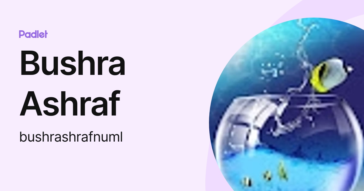 Bushra Ashraf (bushrashrafnuml) profile | Padlet