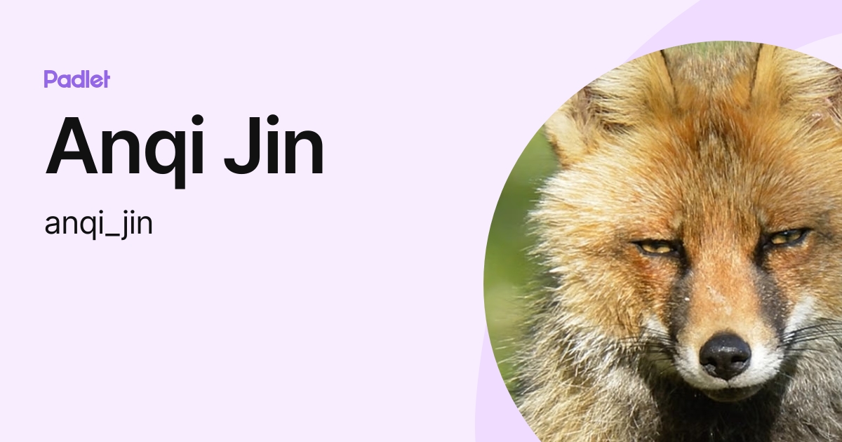 Anqi Jin (anqi_jin) profile | Padlet