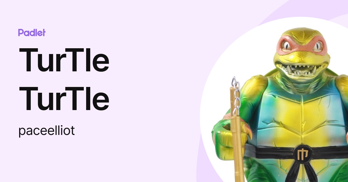 TurTle TurTle (paceelliot) profile | Padlet