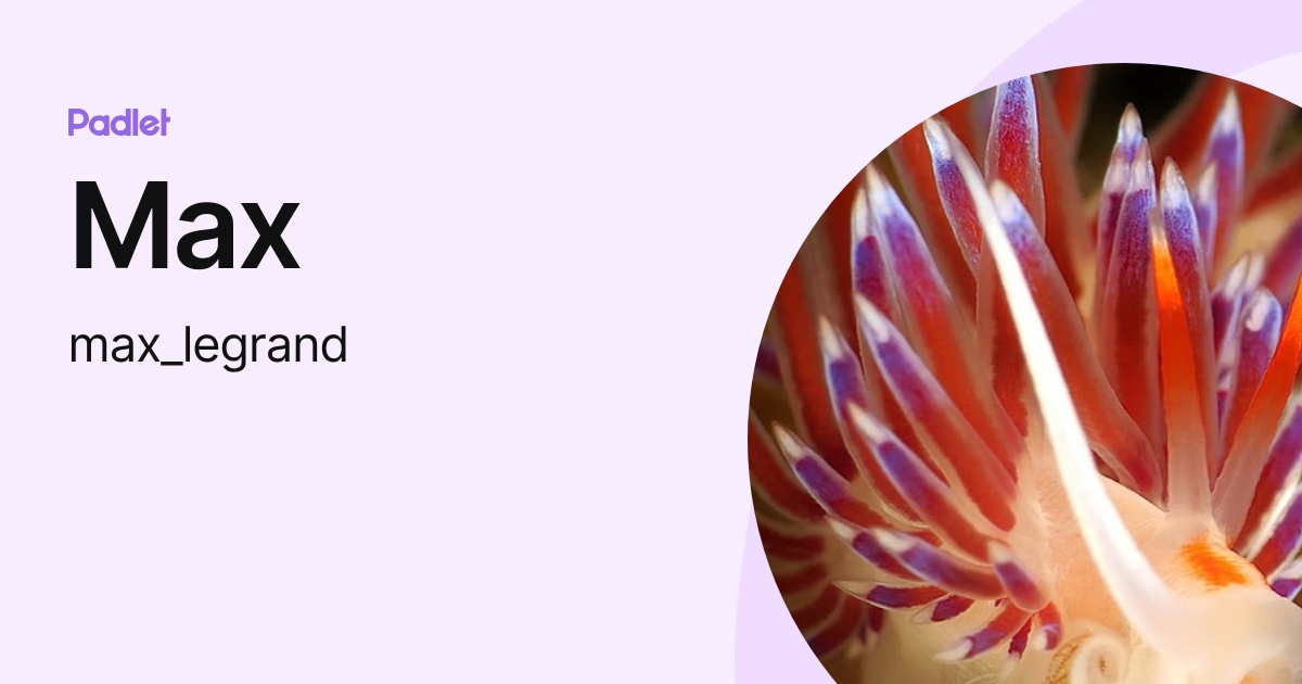 Max (max_legrand) profile | Padlet