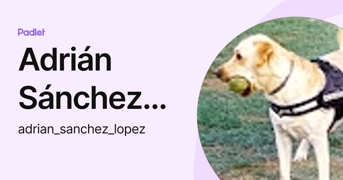 Adrián Sánchez López (adrian_sanchez_lopez) profile | Padlet
