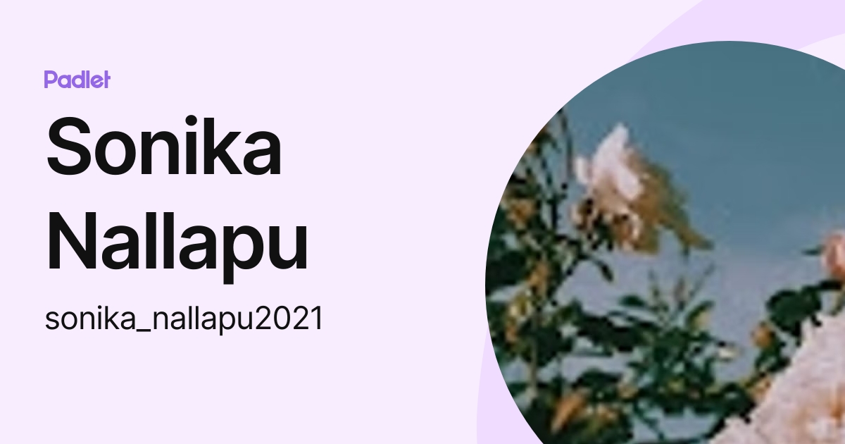 Sonika Nallapu (sonika_nallapu2021) profile | Padlet