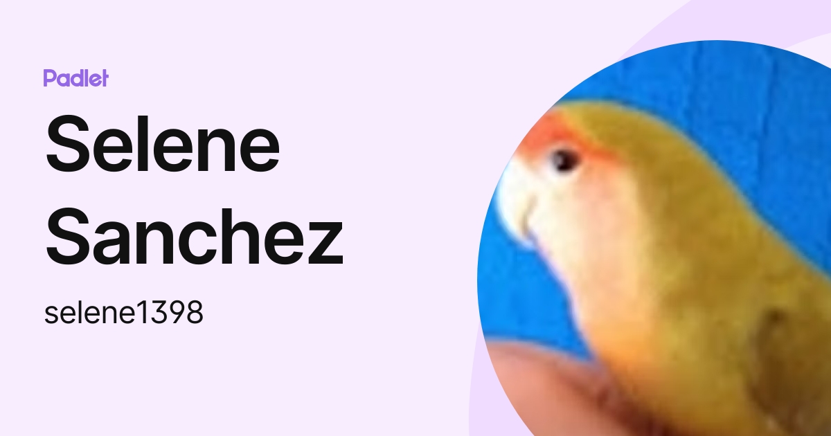 Selene Sanchez (selene1398) profile | Padlet