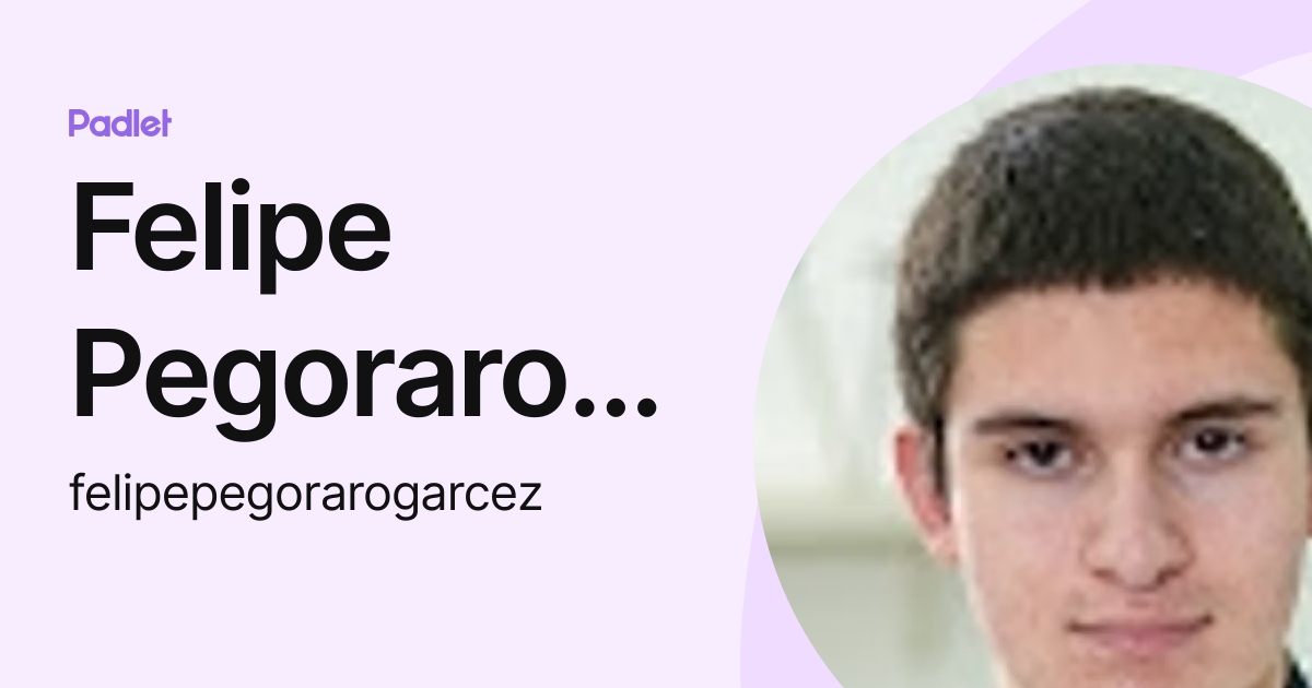 Felipe Pegoraro Garcez (felipepegorarogarcez) profile | Padlet