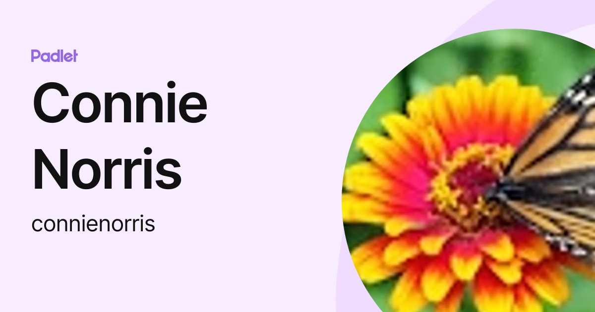 Connie Norris (connienorris) profile | Padlet