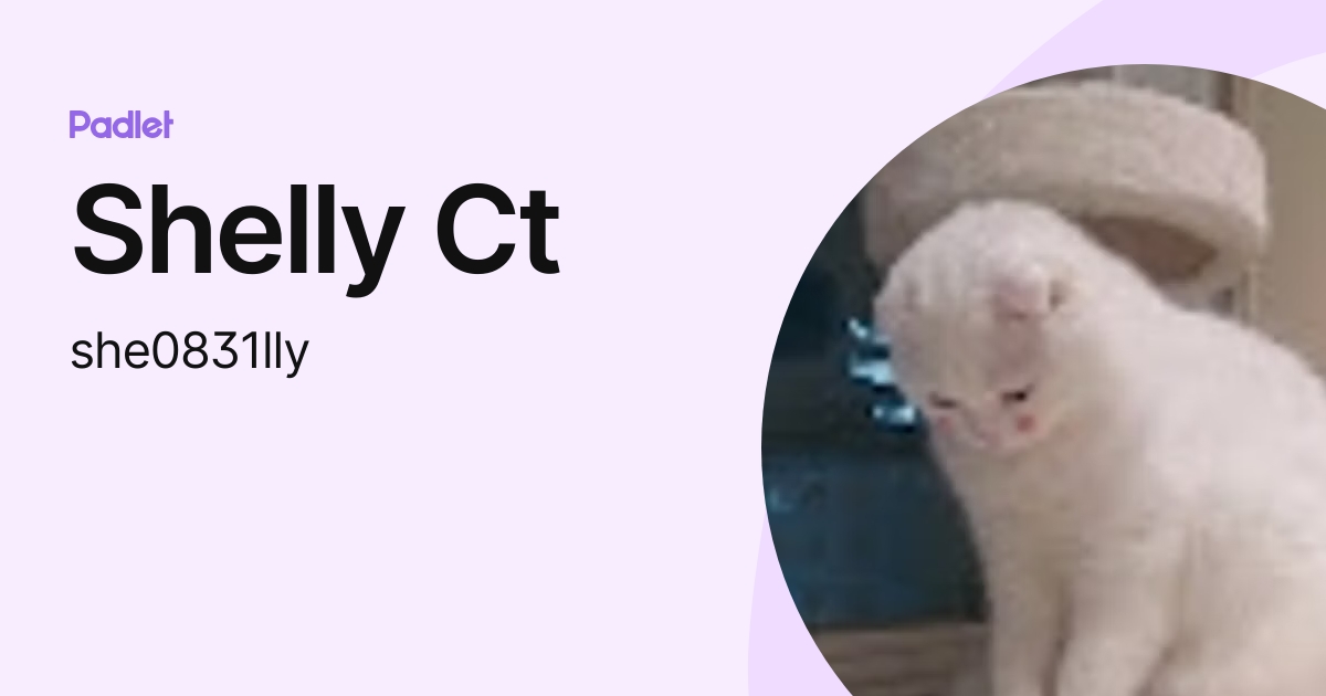 Shelly Ct (she0831lly) profile | Padlet