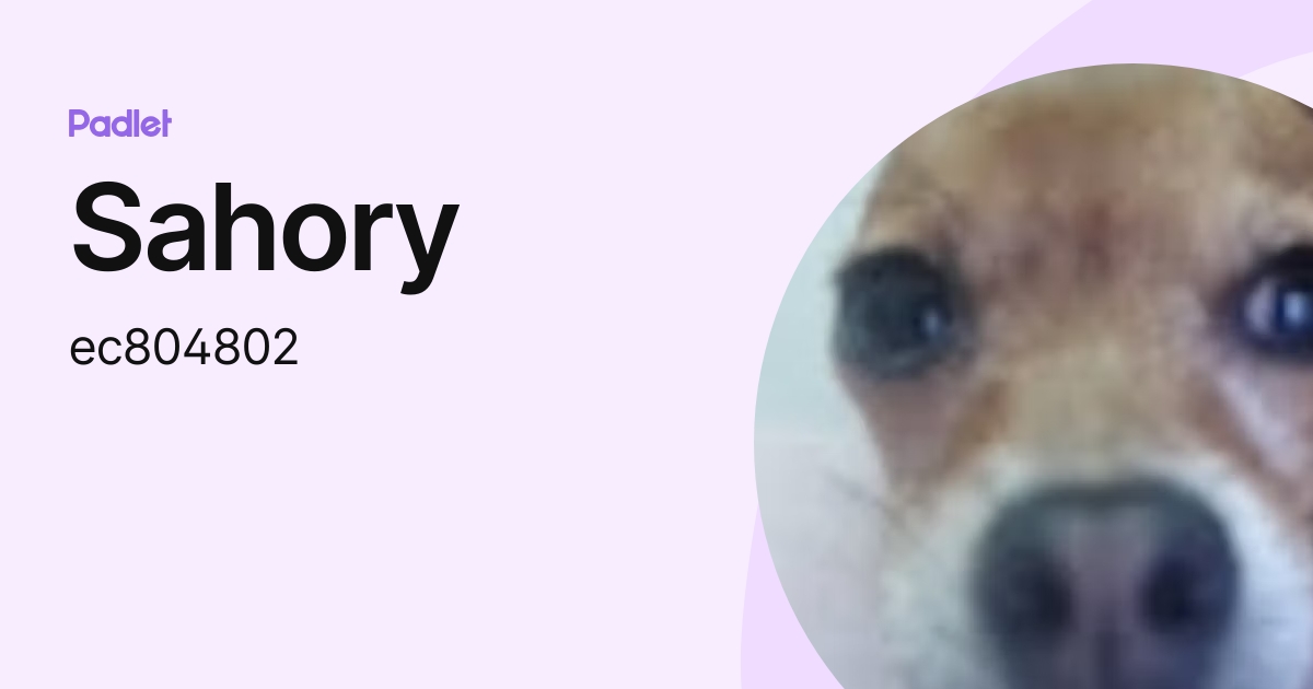 Sahory (ec804802) profile | Padlet