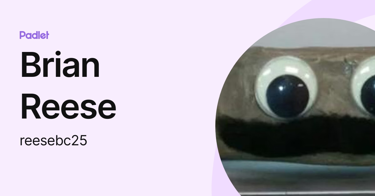 Brian Reese (reesebc25) profile | Padlet