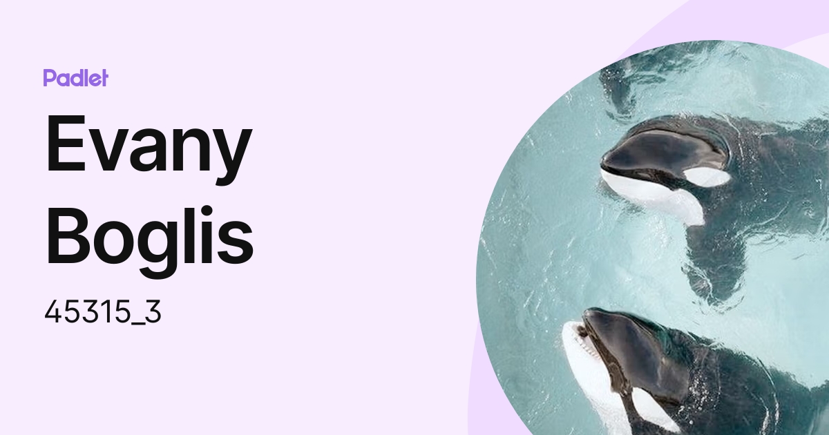 Evany Boglis (45315_3) profile | Padlet