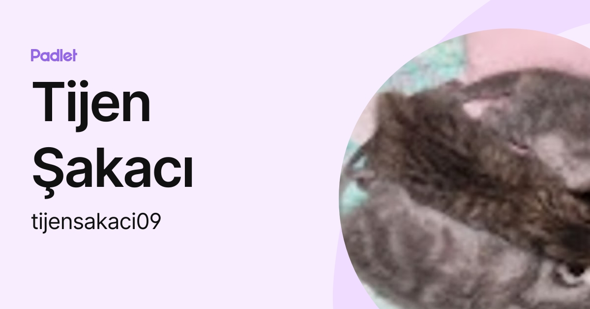Tijen Şakacı (tijensakaci09) profile | Padlet