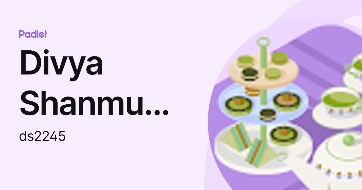 Divya Shanmugaraj (ds2245) profile | Padlet