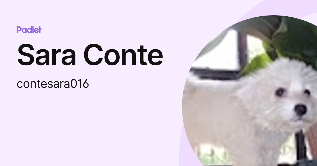 Sara Conte (contesara016) profile | Padlet