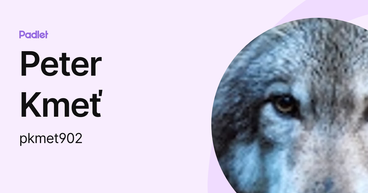 Peter Kmeť (pkmet902) profile | Padlet