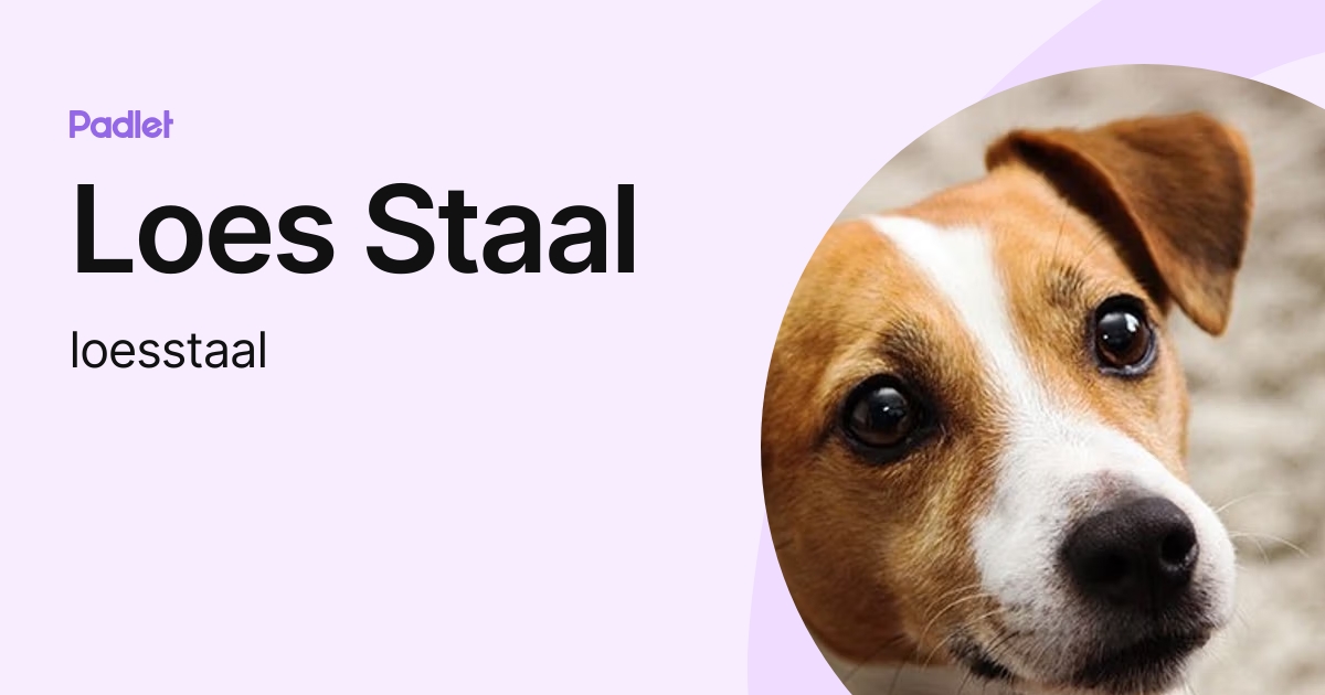 Loes Staal (loesstaal) profile | Padlet