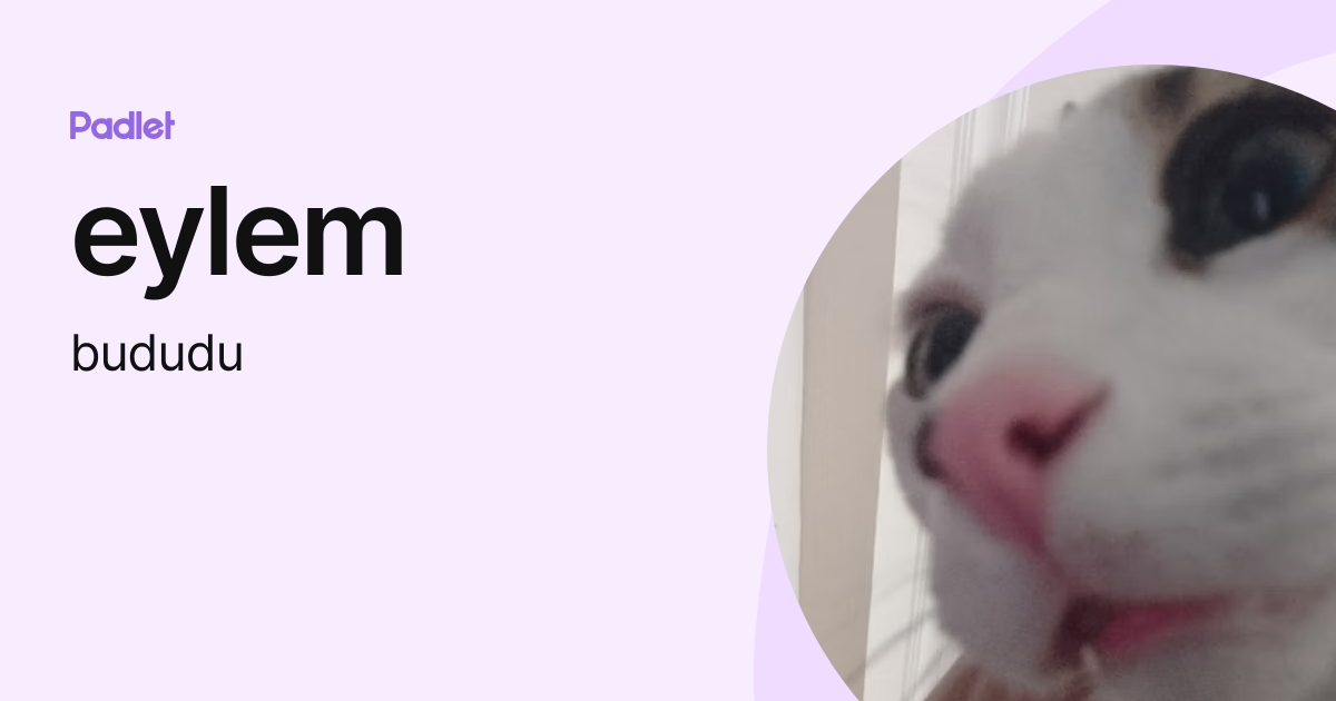 aaoaoao (bududu) profile | Padlet