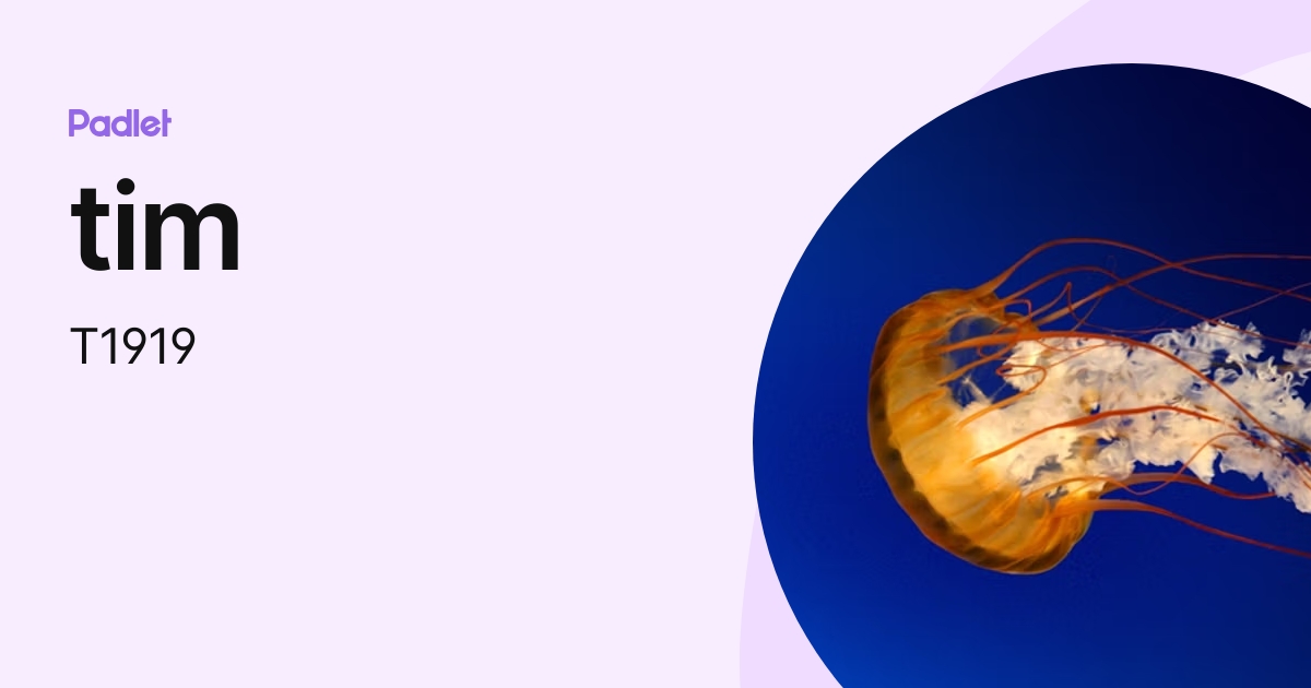 tim (T1919) profile | Padlet