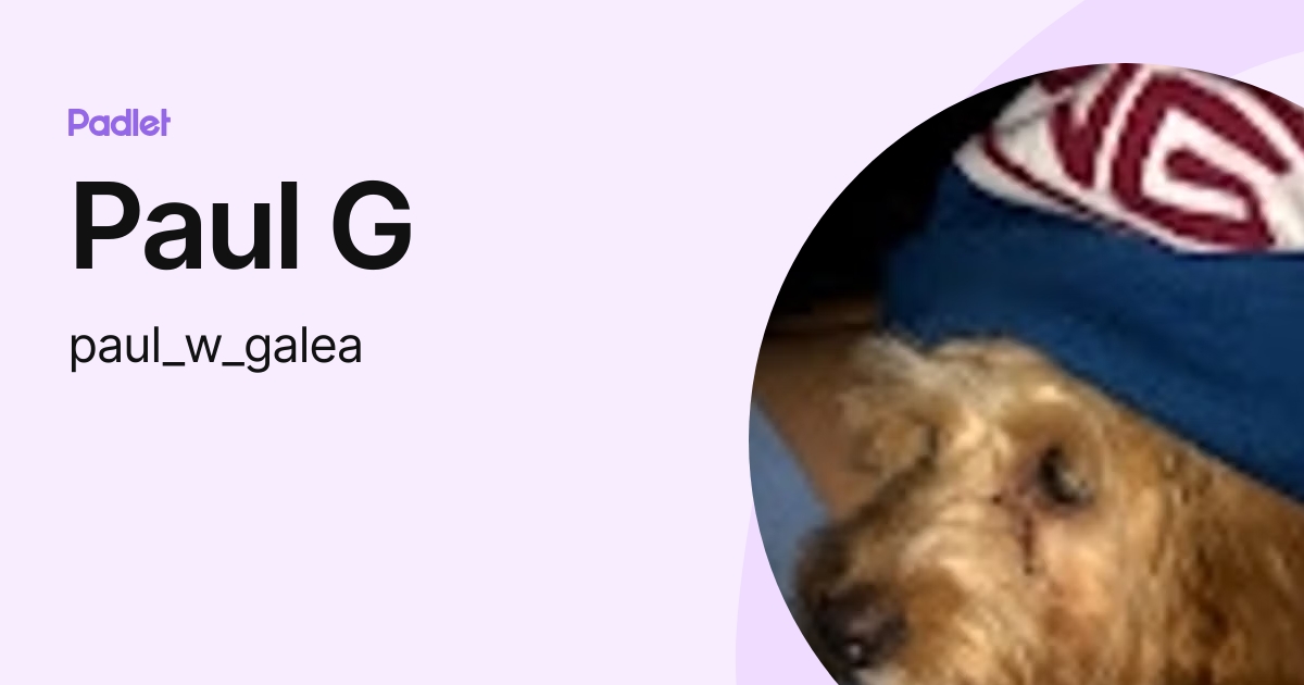 Paul G (paul_w_galea) profile | Padlet