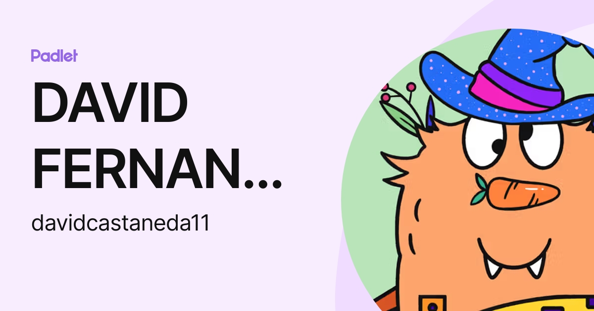 DAVID FERNANDO CASTAÑEDA GARZON (davidcastaneda11) profile | Padlet