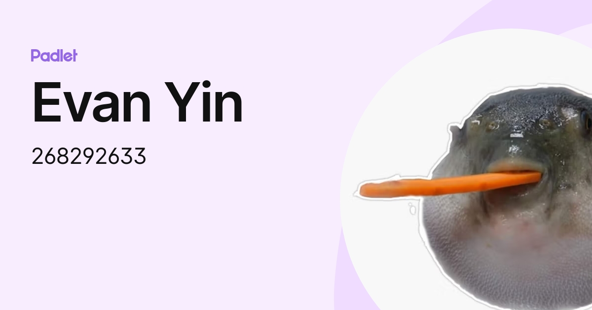 Evan Yin (268292633) profile | Padlet