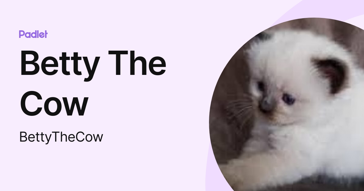 Betty The Cow (BettyTheCow) profile | Padlet