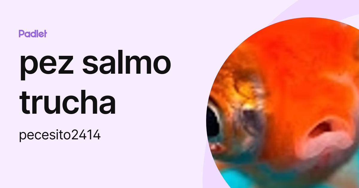 pez salmo trucha (pecesito2414) profile | Padlet