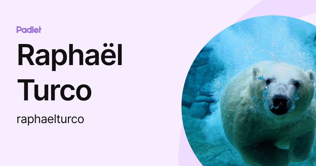 Raphaël Turco (raphaelturco) profile | Padlet