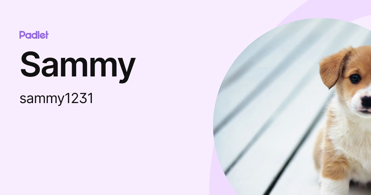 Sammy Sammy1231 Profile Padlet