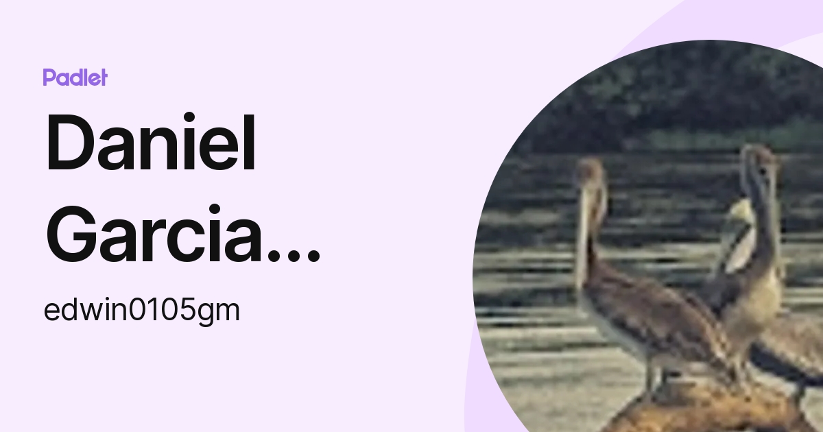 Daniel Garcia Mejia (edwin0105gm) profile | Padlet