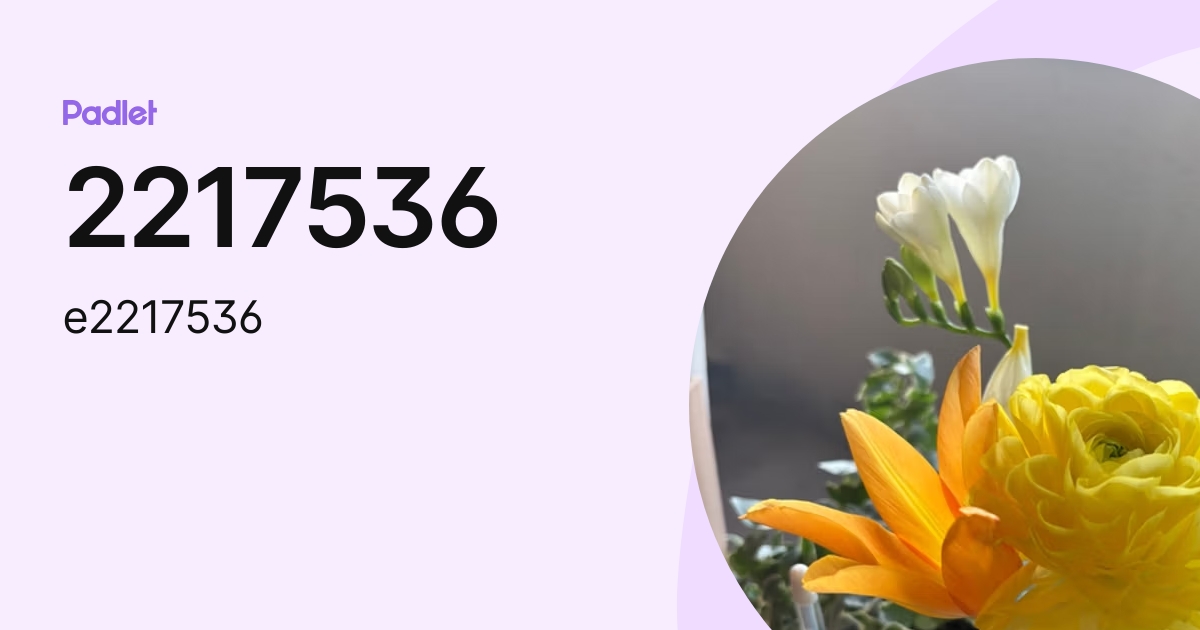 2217536 E2217536 Profile Padlet