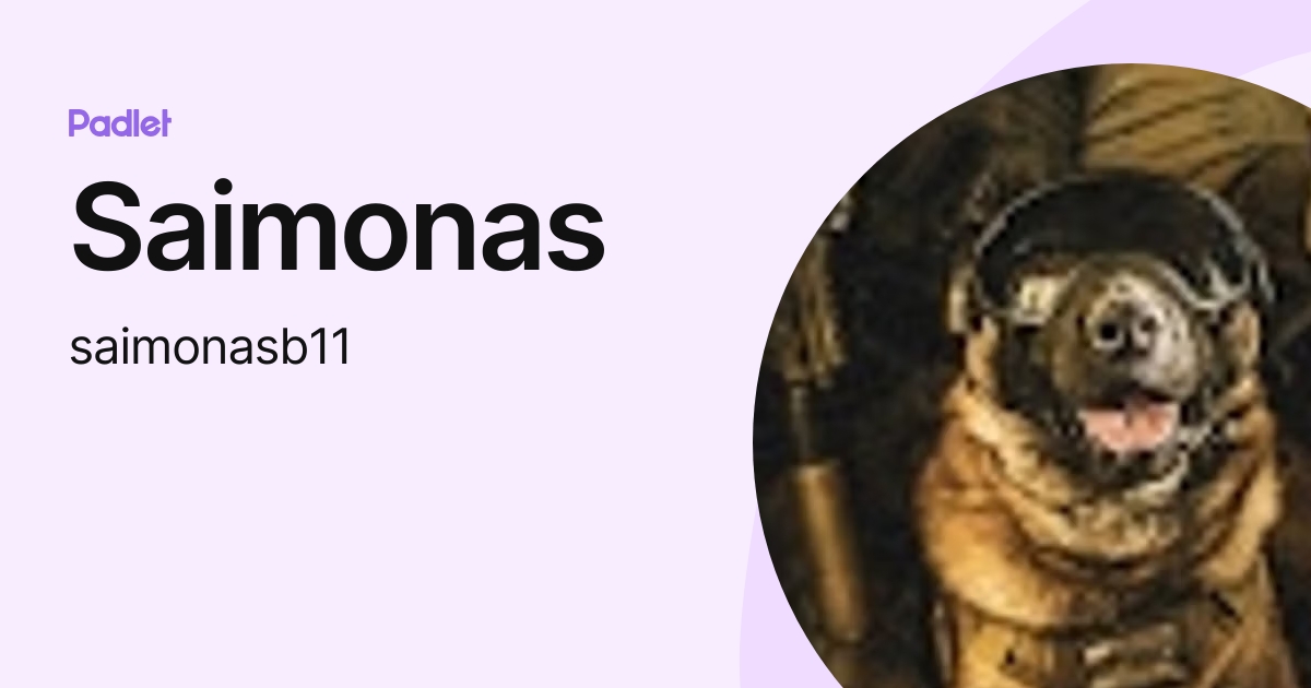 Saimonas (saimonasb11) profile | Padlet