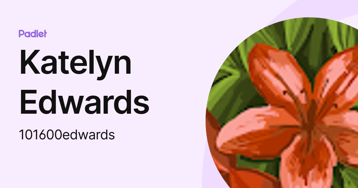 Katelyn Edwards (101600edwards) profile | Padlet