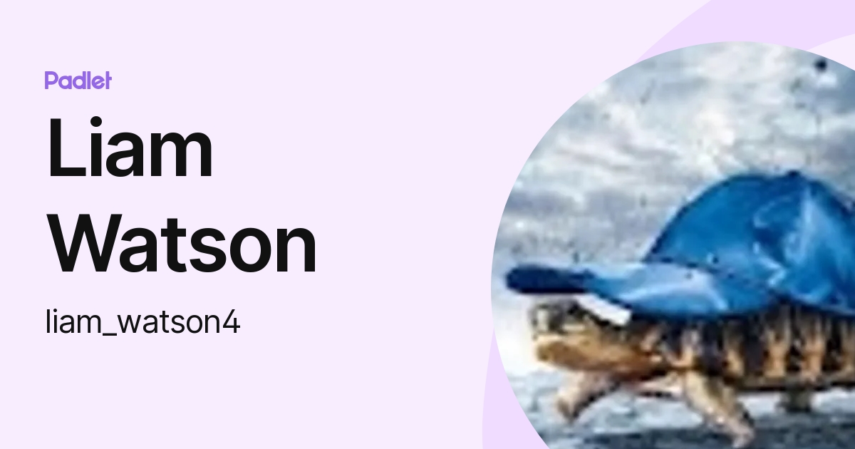 Liam Watson (liam_watson4) profile | Padlet