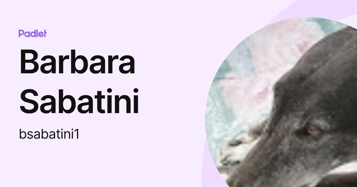 Barbara Sabatini (bsabatini1) profile | Padlet