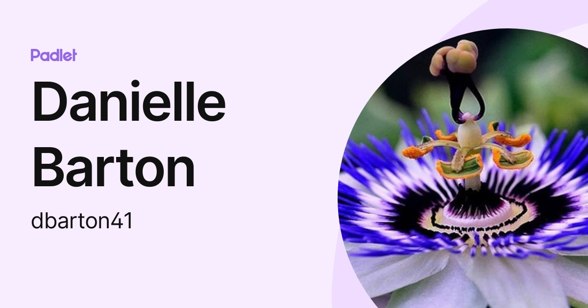 Danielle Barton (dbarton41) profile | Padlet