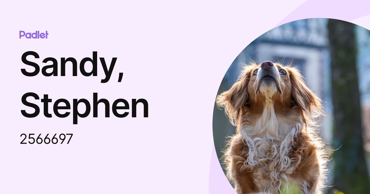 Sandy, Stephen (2566697) profile | Padlet