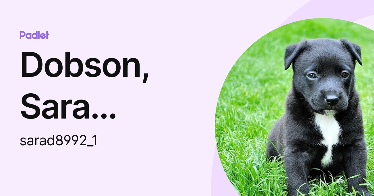 Dobson, Sara (OHVA Student) (sarad8992_1) profile | Padlet