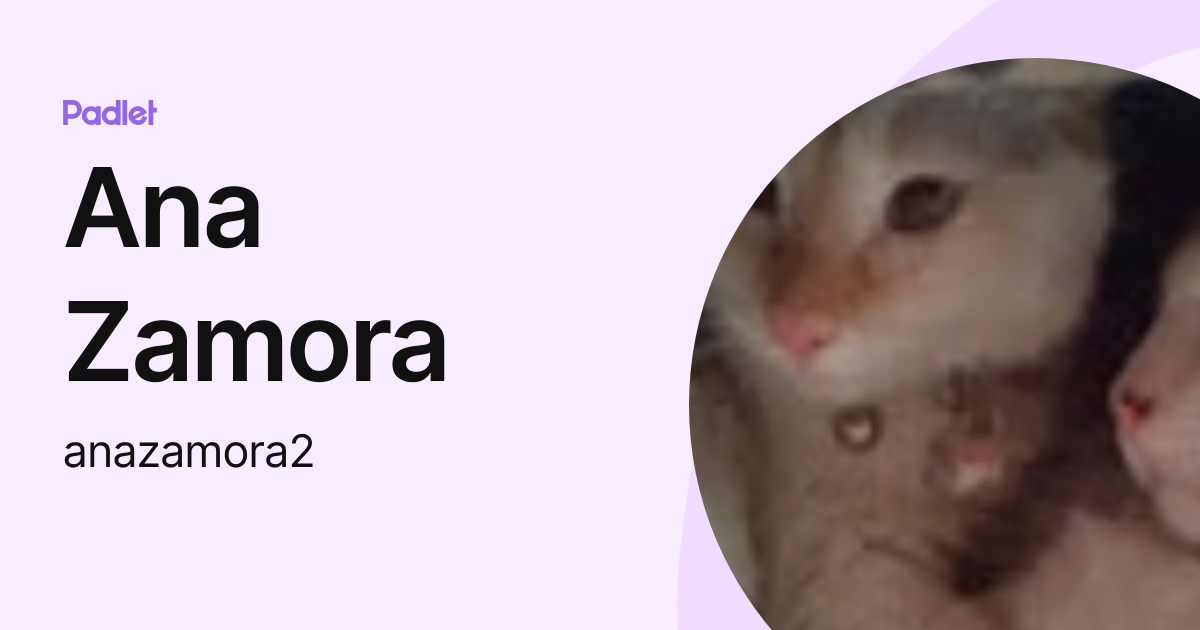 Ana Zamora (anazamora2) profile | Padlet