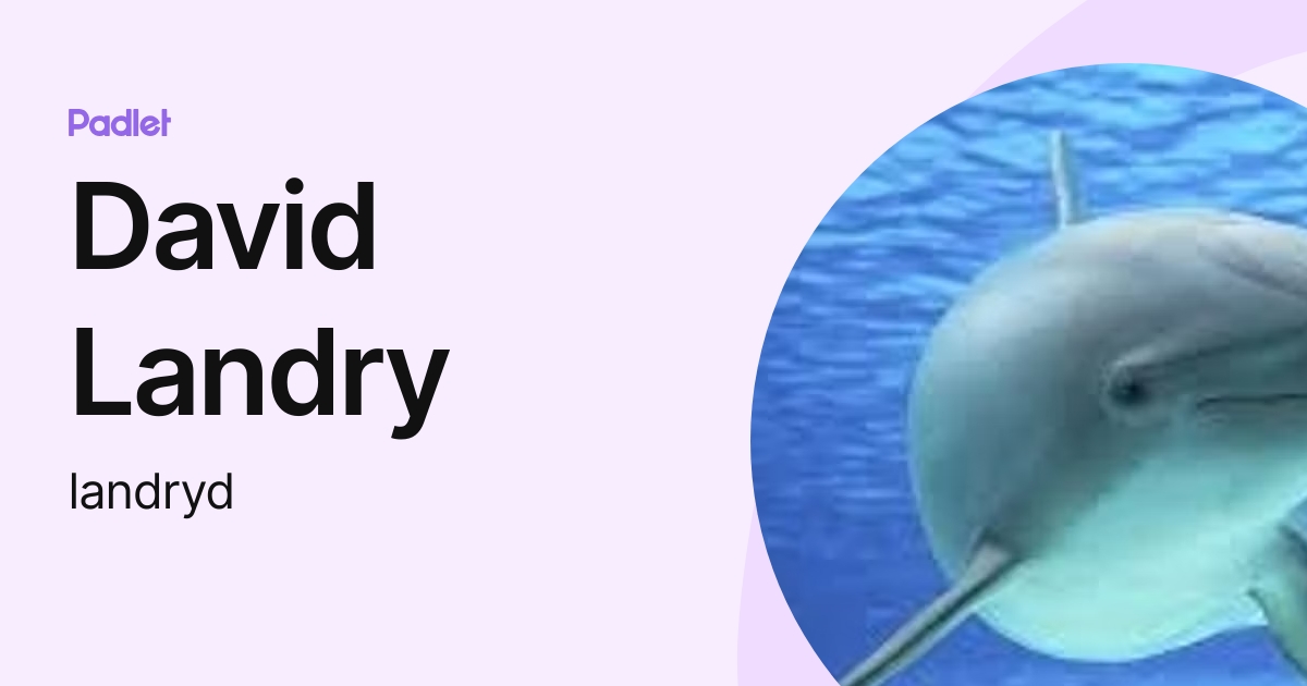 David Landry (landryd) profile | Padlet