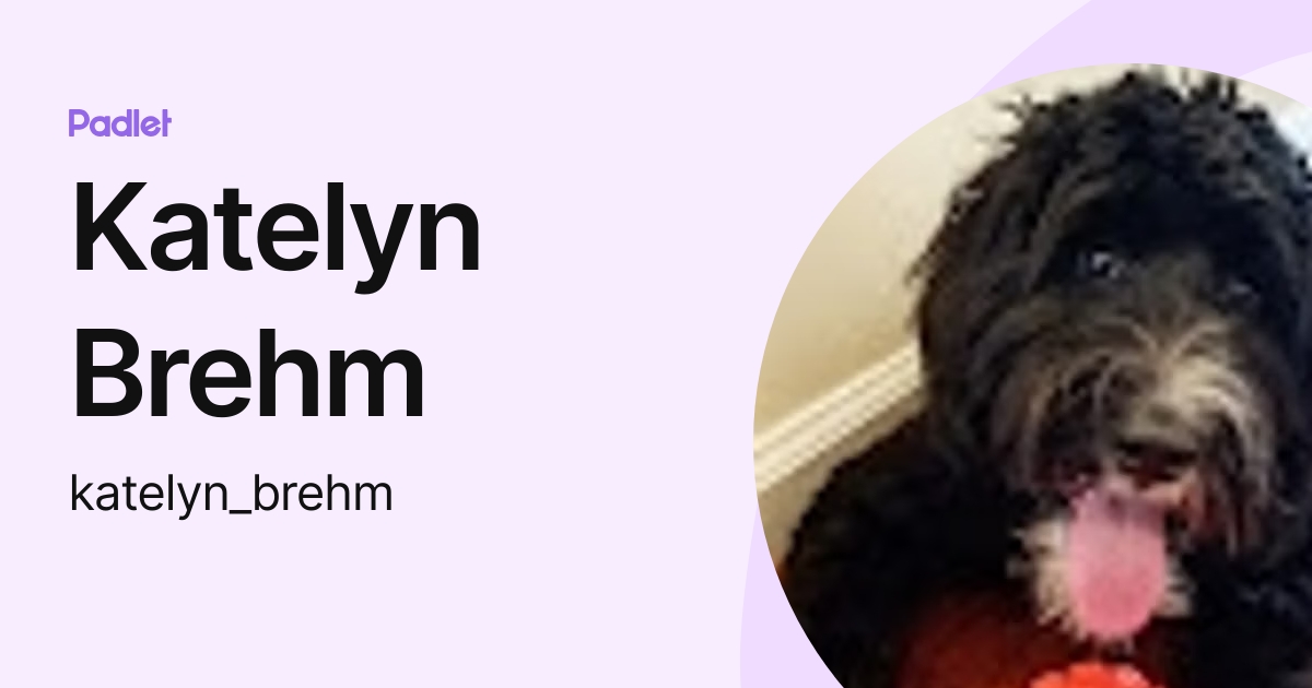 Katelyn Brehm (katelyn_brehm) profile | Padlet